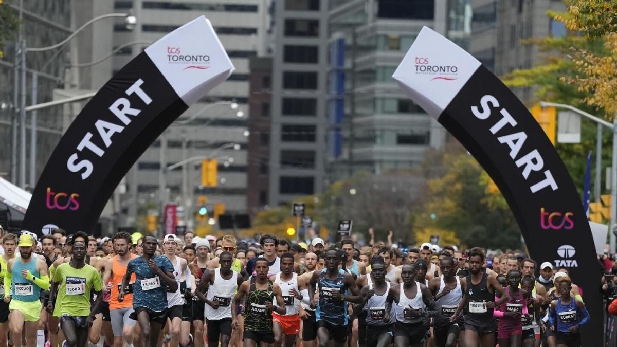 Results - TCS Toronto Waterfront Marathon 2025 | Watch Athletics
