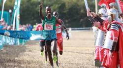 Course Map- Irish Life Dublin Marathon | Watch Athletics