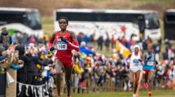 Results - NCAA D3 Cross Country Championships 2025 | Watch Athletics
