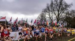 Results - European Running Championships 2025 | Watch Athletics