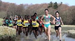 Results - Starperche 2025 | Watch Athletics