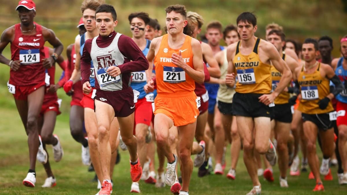 Results: SEC Cross Country Championships 2022 | Watch Athletics