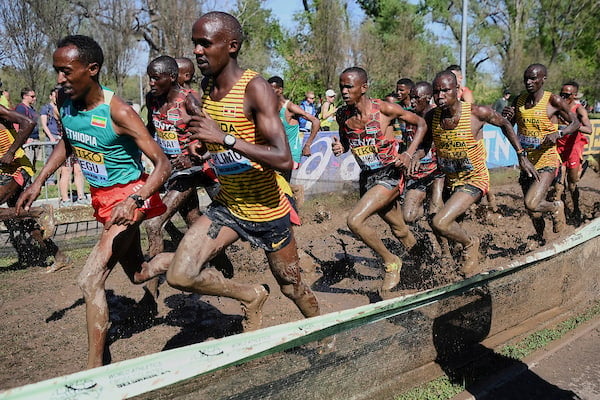 Final Entry Lists Published for the World Athletics Cross Country ...
